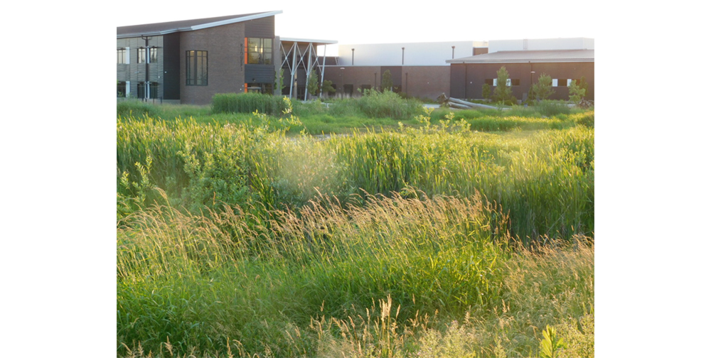 News | Sunset Ridge Intermediate